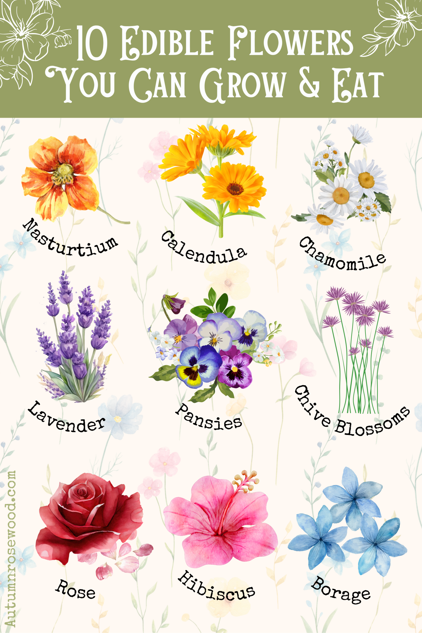A Bloom You Can Bite: My Favorite Edible Flowers from Garden to Table ...
