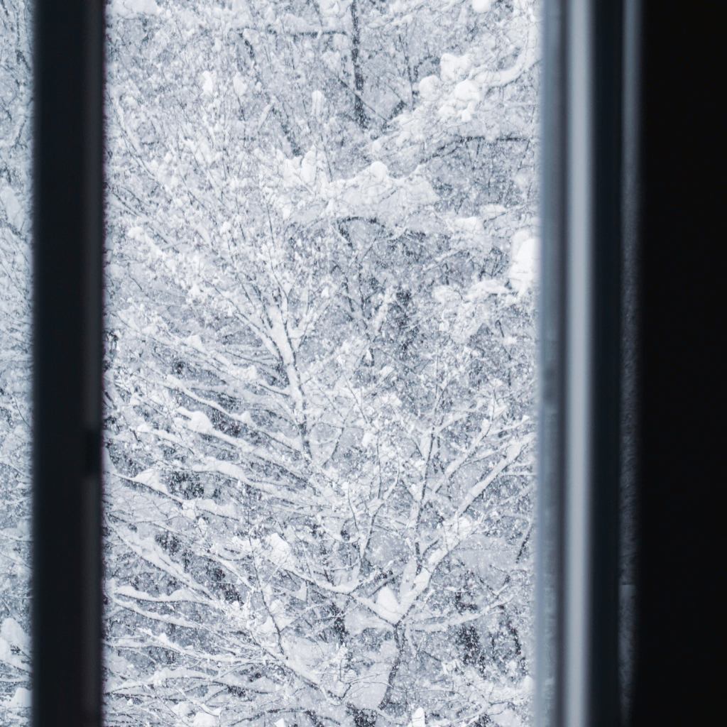 A Letter Written While the Snow Fell – Autumn Rosewood